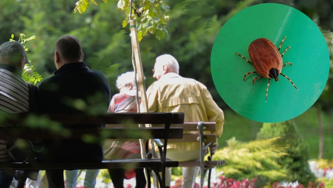 Deadly ‘Monster Ticks’ have arrived in Poland