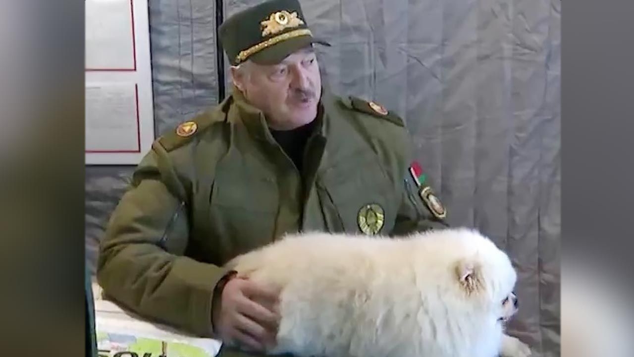 Szpic Łukaszenki. „Generałowie raportowali psu Umce” | TVP INFO